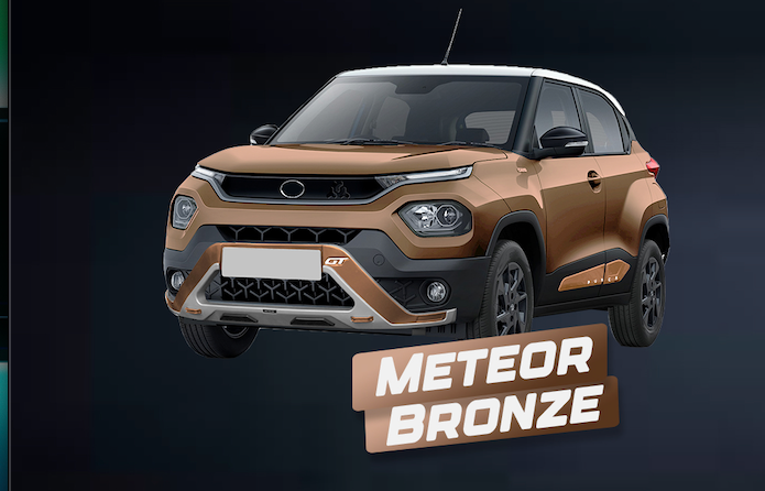 M-TEK TATA PUNCH METEOR BRONZE SIDE CLADDING – DolphinAccessories